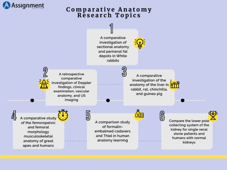 240 Unique Anatomy Research Topics To Consider