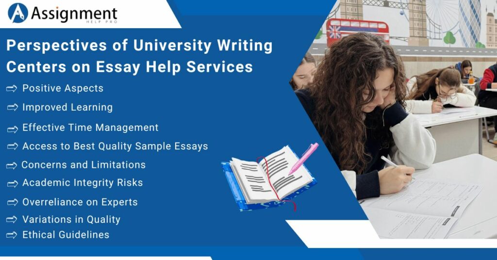 How University Writing Centers View Essay Help Services